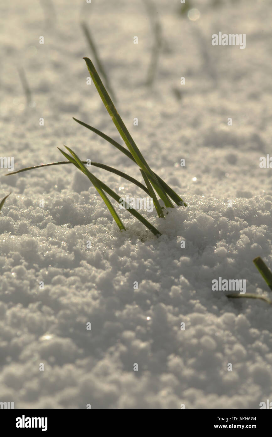 Looking through ice hi-res stock photography and images - Alamy