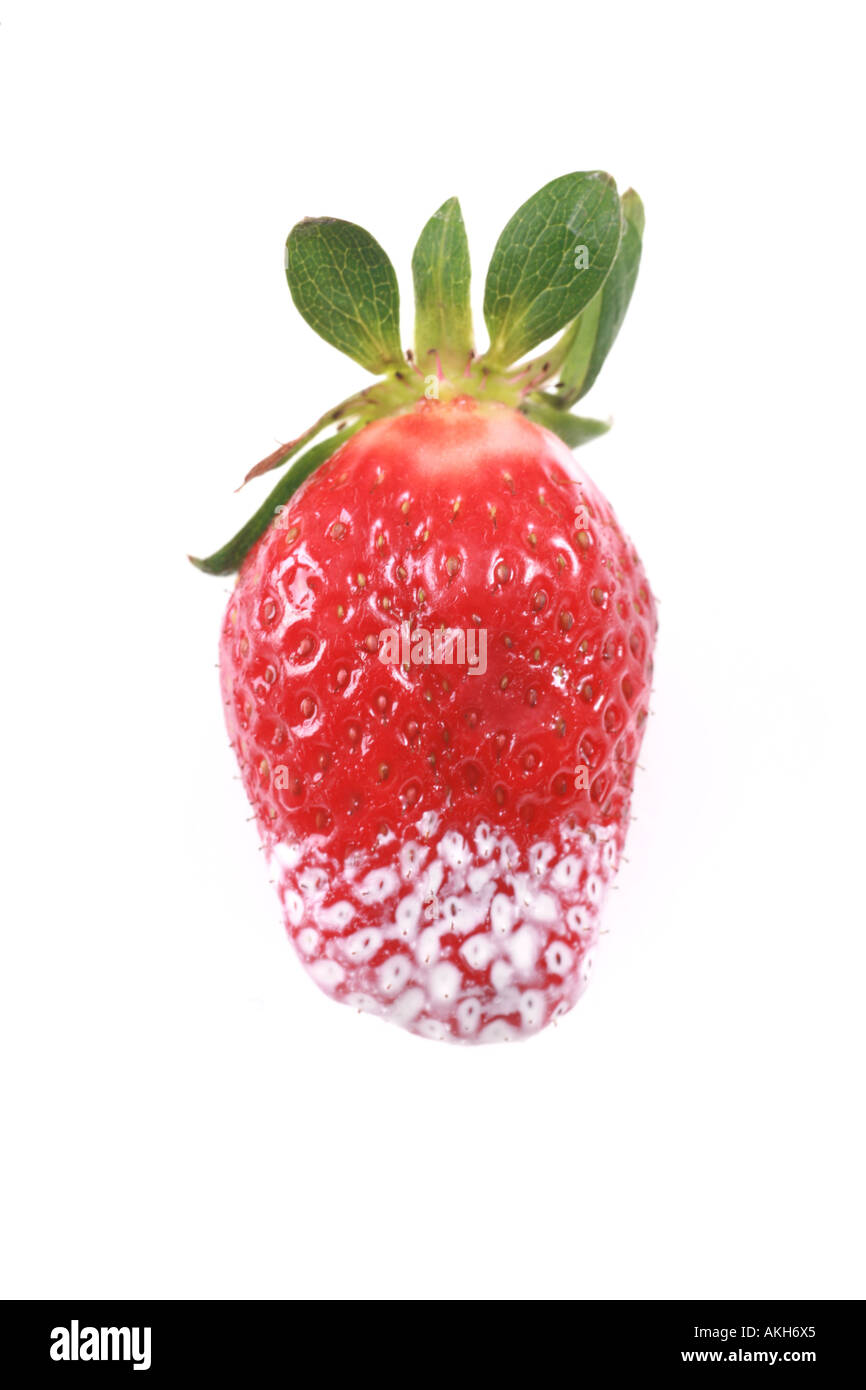 red juicy strawberry Stock Photo - Alamy