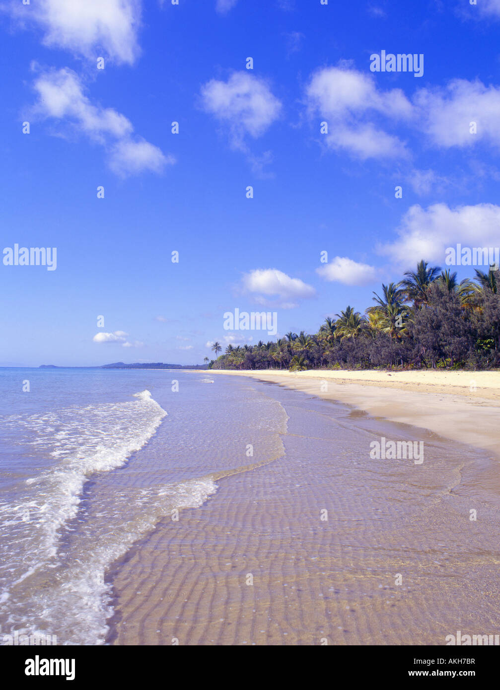 Coconut tree lined beach at Mission Beach Tropical North Queensland ...