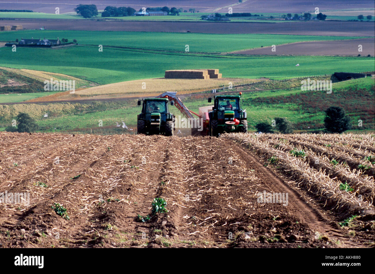 Farming scotland potatoes hi-res stock photography and images - Alamy