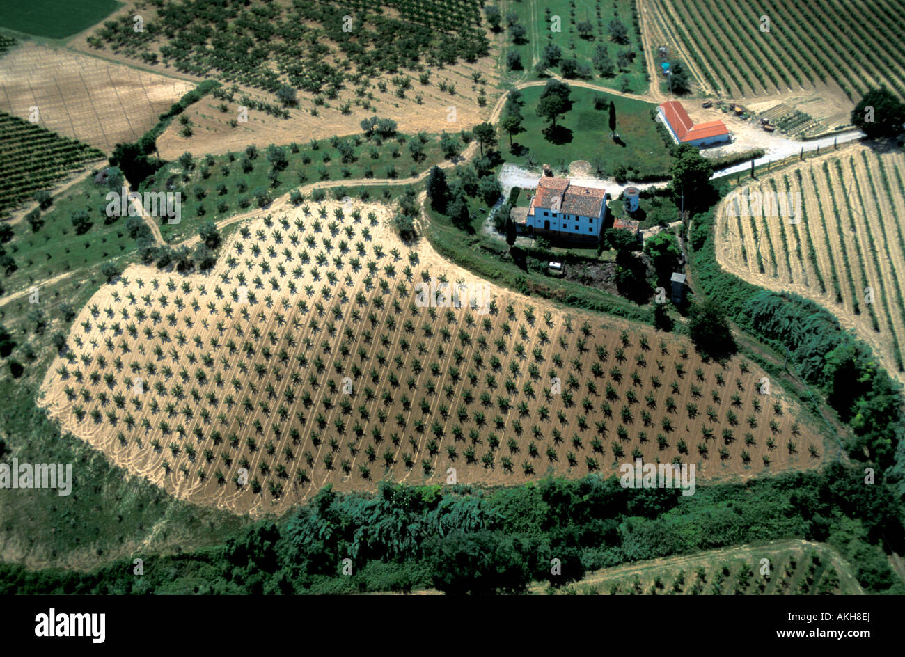 Savignano hi-res stock photography and images - Alamy