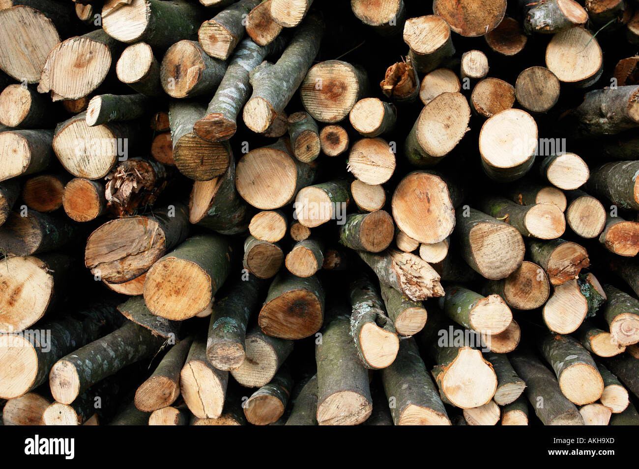 pile stack of wood firewood Stock Photo - Alamy