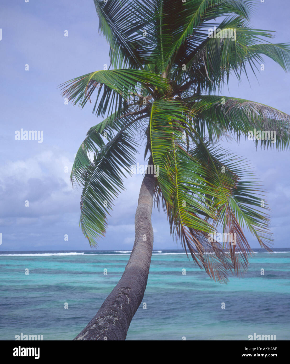 Granite rock palm trees seychelles hi-res stock photography and images ...