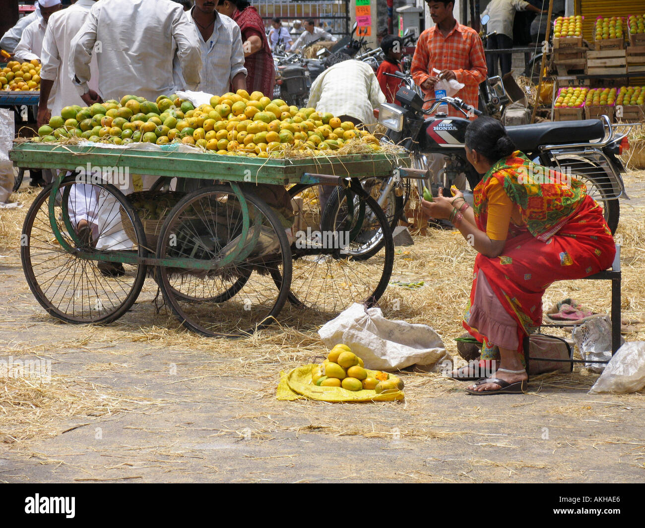 Mangifera indica l hi-res stock photography and images - Alamy