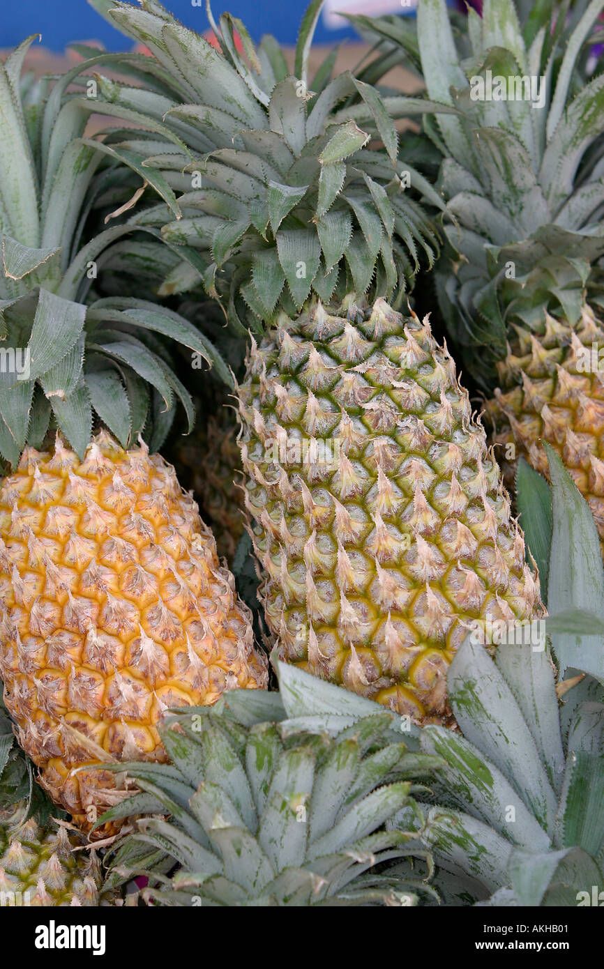 Pineapple comosus fruit reunion hi-res stock photography and images - Alamy