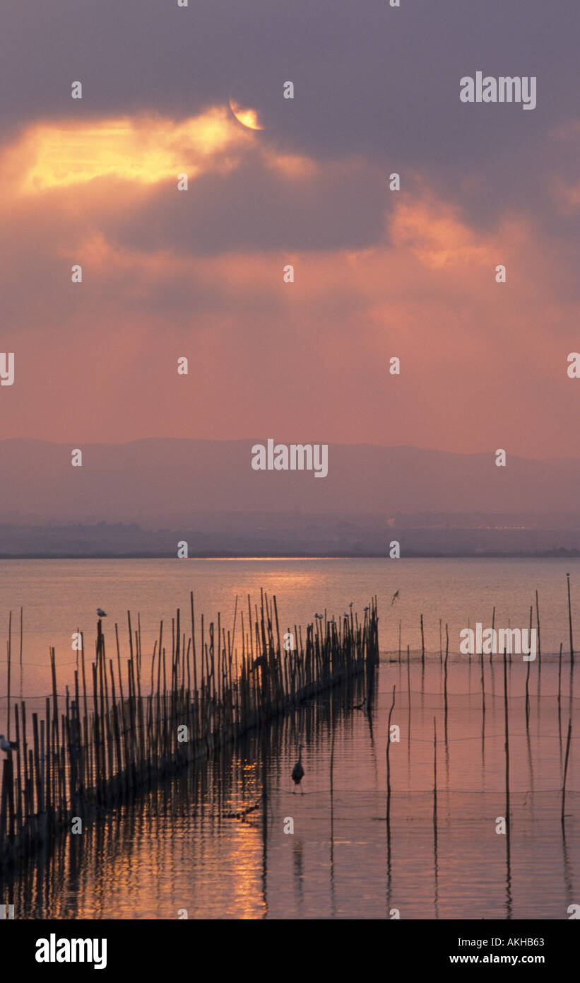 La albufera national park hi-res stock photography and images - Alamy