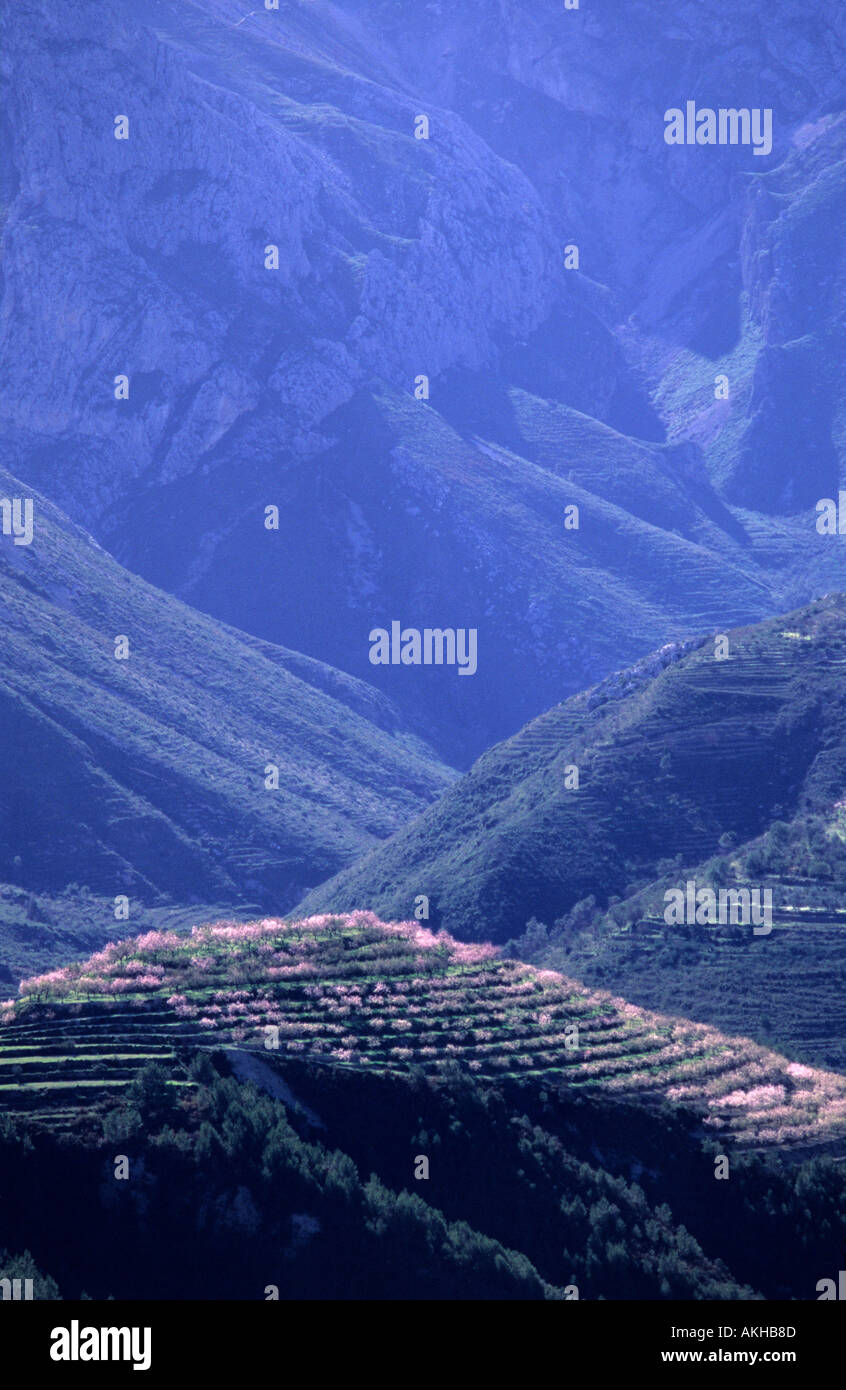 Mountain range almond blossom Alicante province Costa blanca Valencia ...