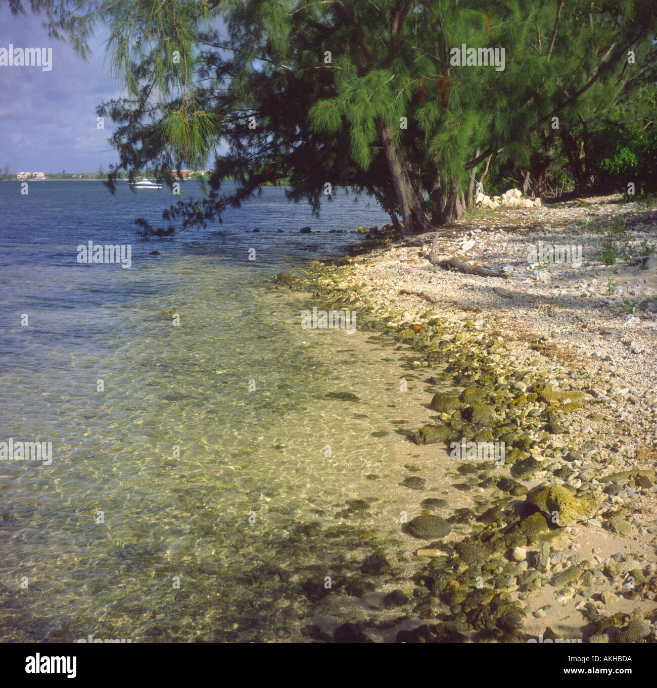 Grand cayman, cayman islands hi-res stock photography and images - Alamy