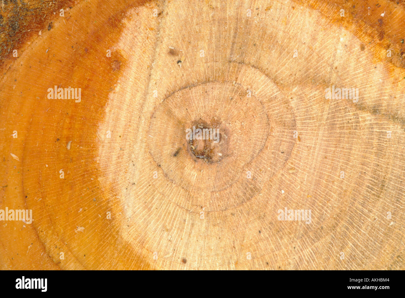 Sewed hi-res stock photography and images - Alamy