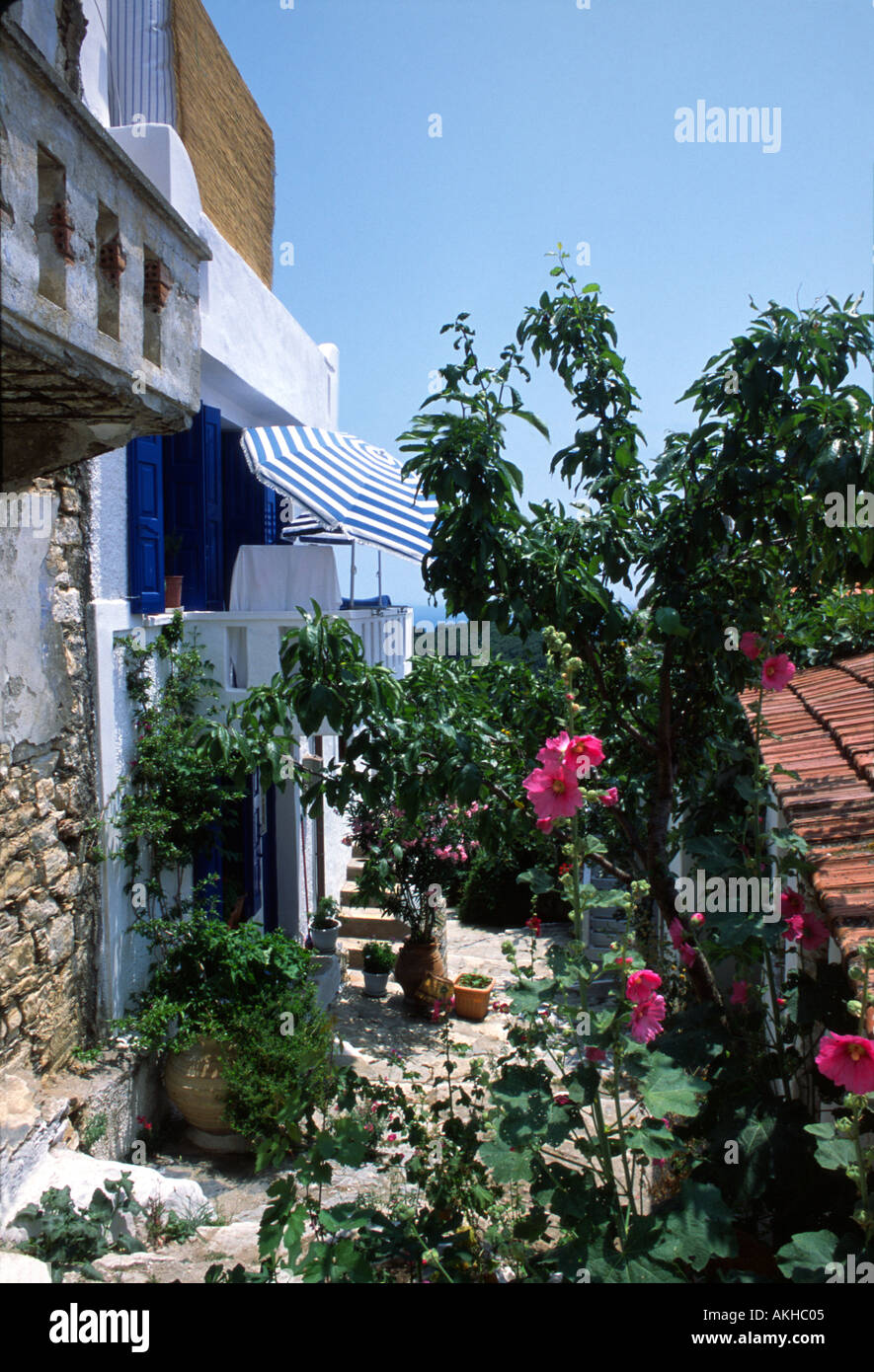 Garden Patitiri Old Town Alonissos Alonnisos Sporades Islands Aegean ...