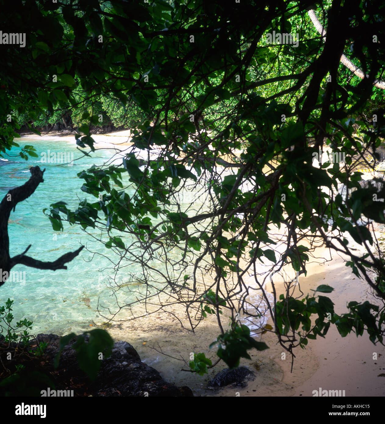 Small secluded beach near Palm Beach hotel Mahe Seychelles Stock Photo ...