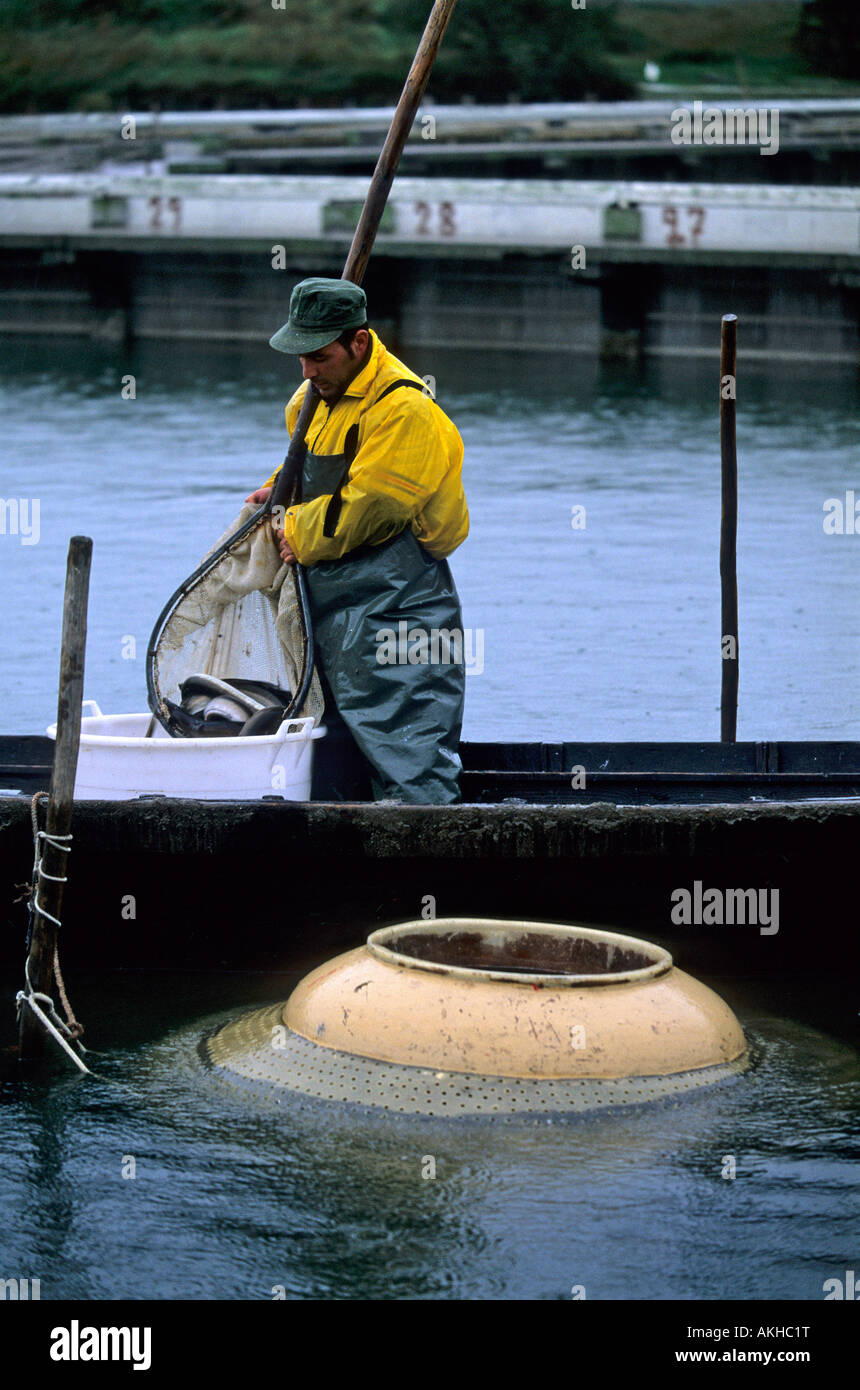 Eel fishing, Comacchio, Emilia Romagna, Italy Stock Photo - Alamy