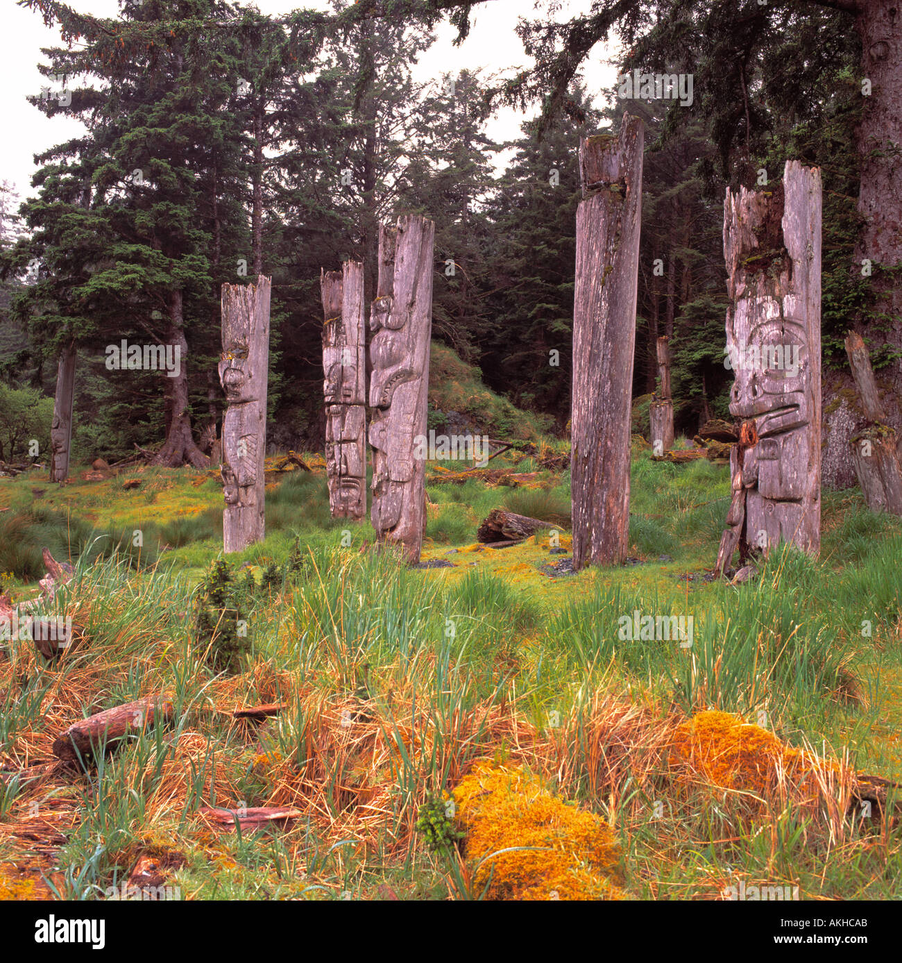 Temperate Rainforest Haida Gwaii High Resolution Stock Photography and ...