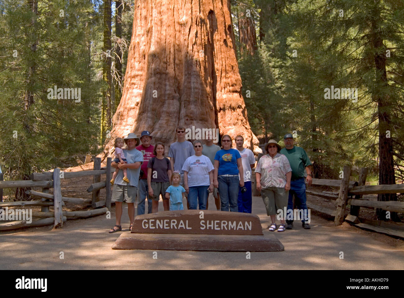 Largest living tree sequoia hi-res stock photography and images - Alamy