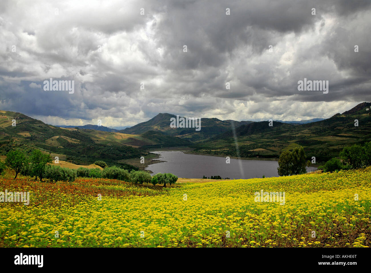 Lake of caccamo hi-res stock photography and images - Alamy