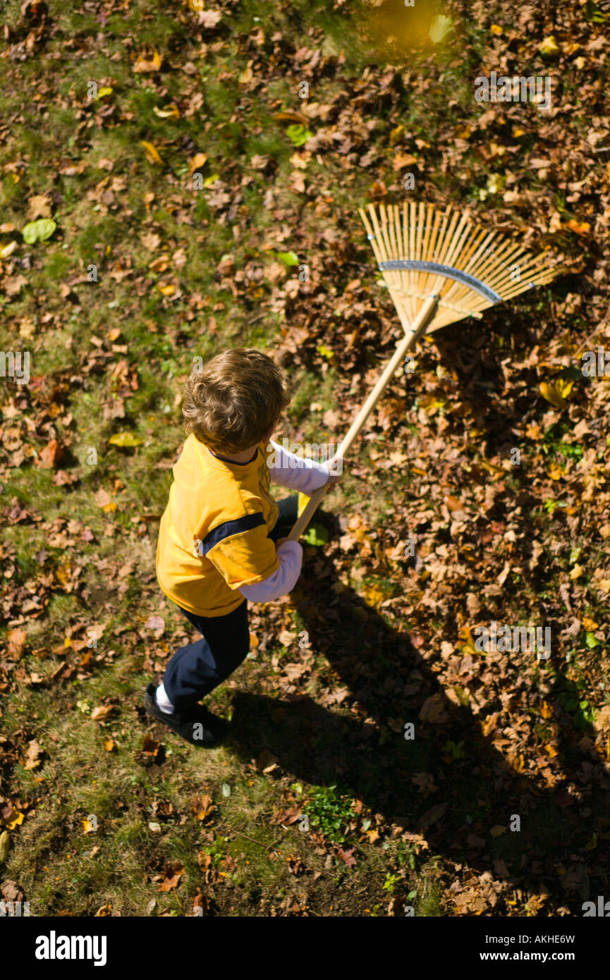 Boy Raking Leaves Stock Photo - Alamy