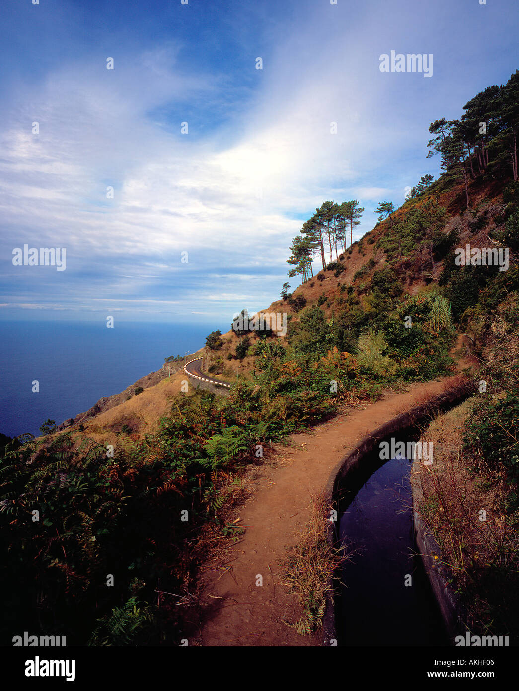 Levada Madeira Portugal Europe. Photo by Willy Matheisl Stock Photo - Alamy