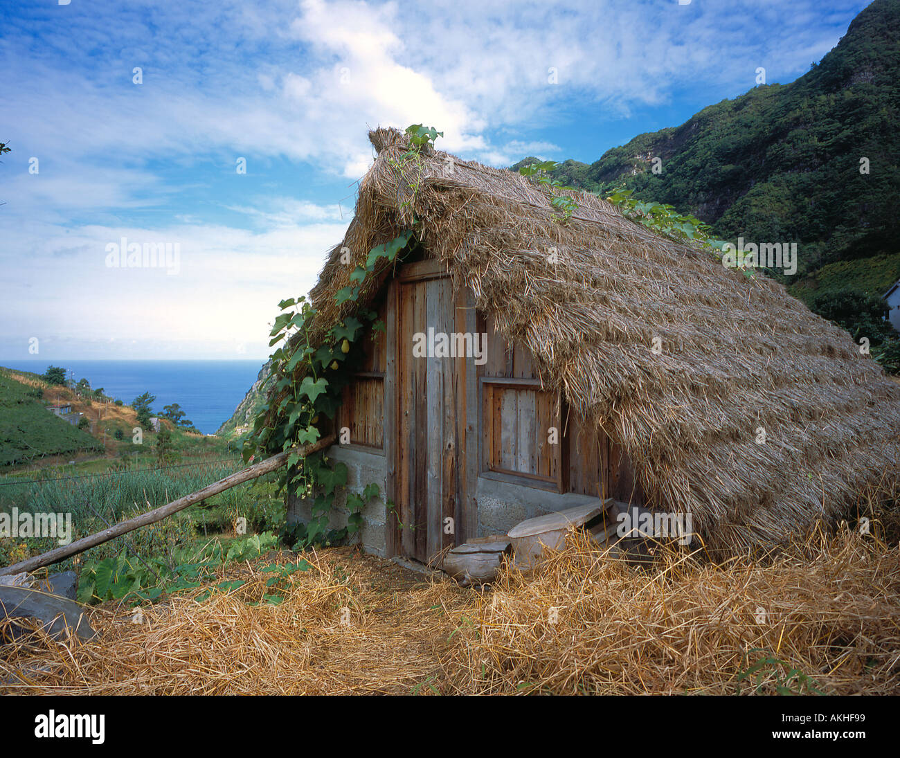 triangular house Madeira Portugal Europe. Photo by Willy Matheisl Stock ...