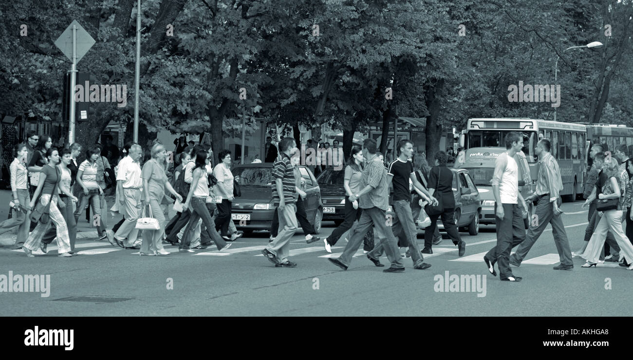 Pedestrians on a Zebra Crossing Stock Photo - Alamy