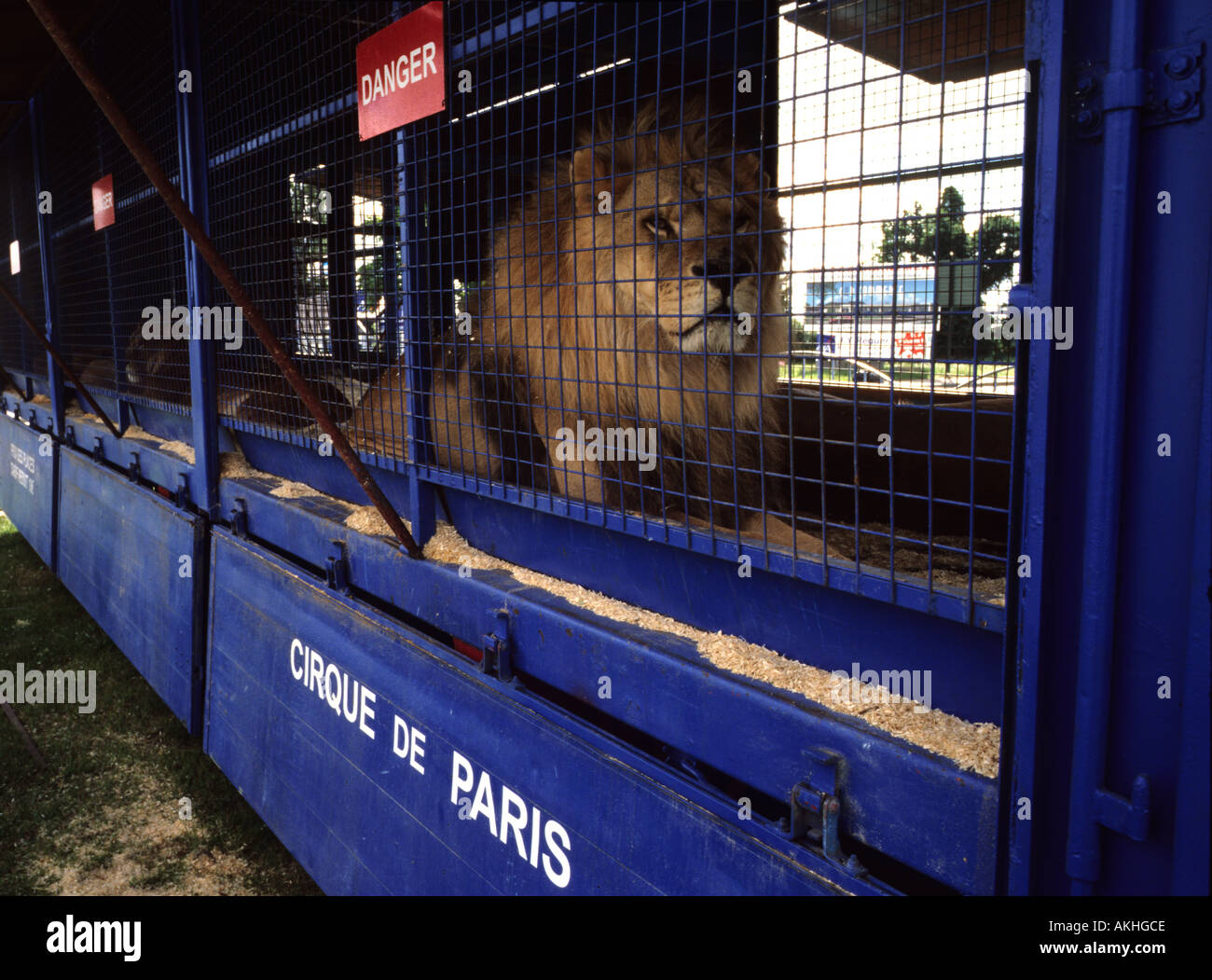 Caged Circus Lion France Stock Photo - Alamy