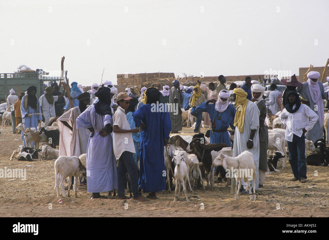 Tuareg nomads selling their livestock at the market in Agadez, Niger ...