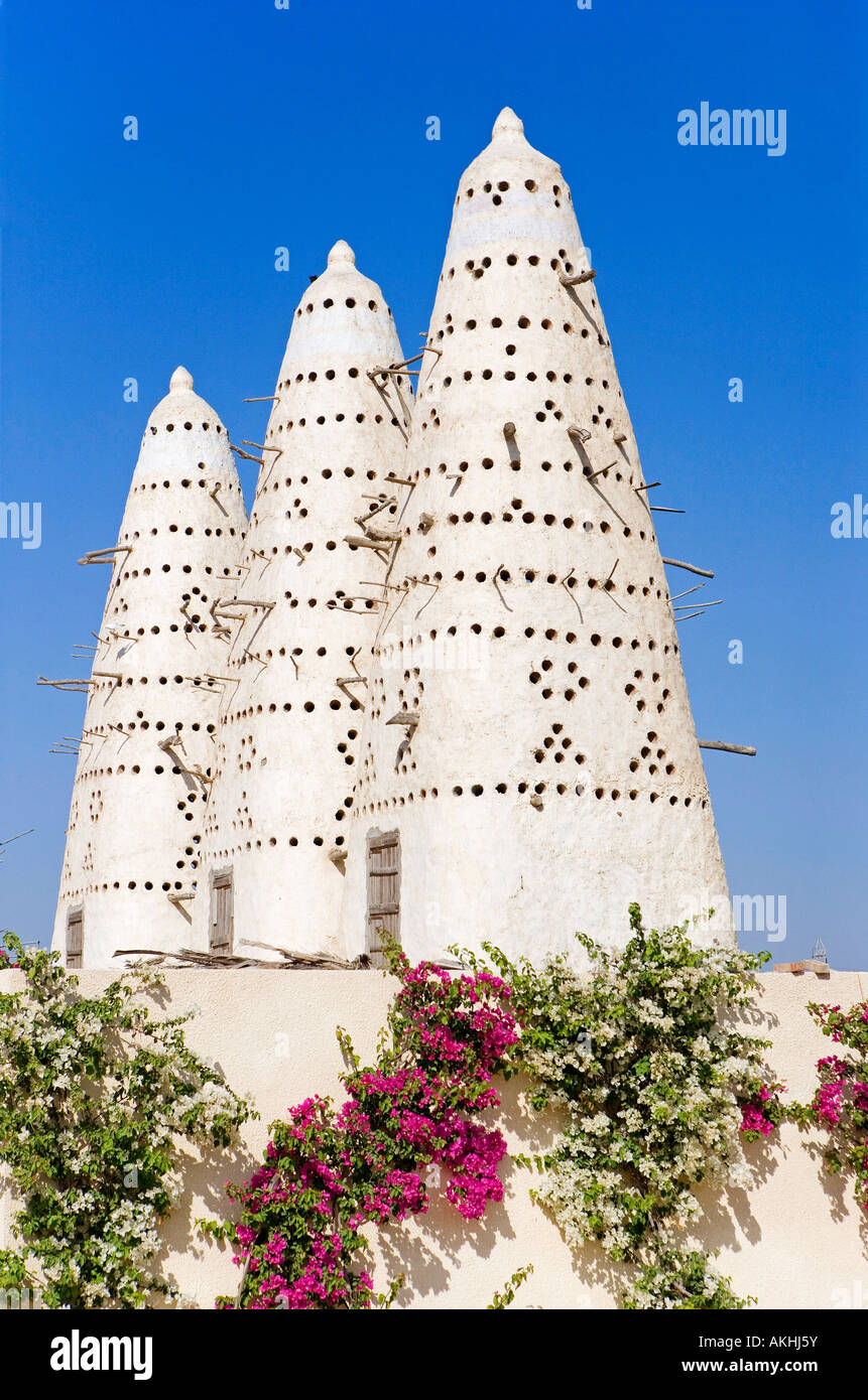 Pigeons of egypt hi-res stock photography and images - Alamy