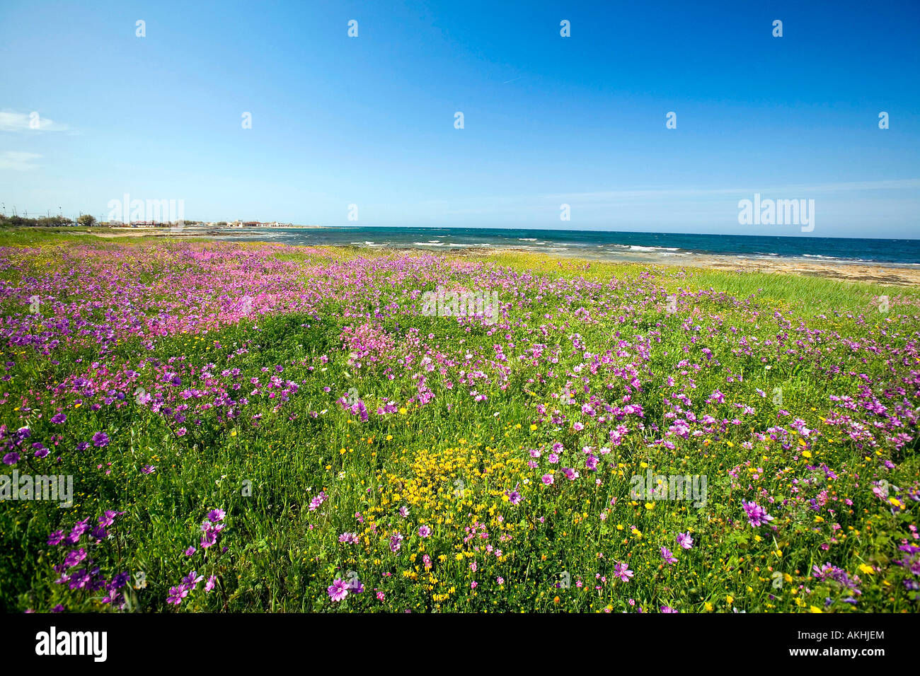 Specchiolla coast, Carovigno, Puglia, Italy Stock Photo - Alamy