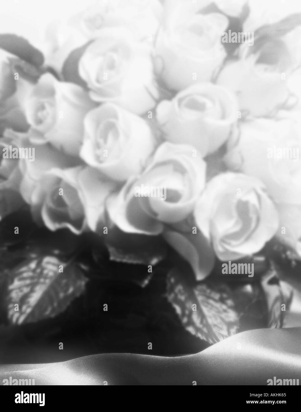 Satin green Black and White Stock Photos & Images - Alamy