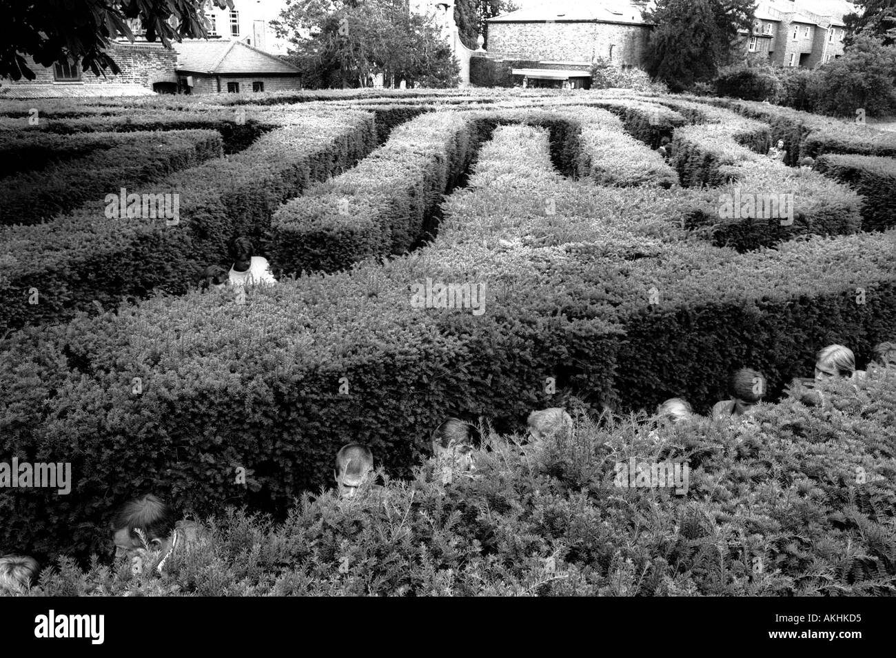 Hampton court maze hi-res stock photography and images - Alamy