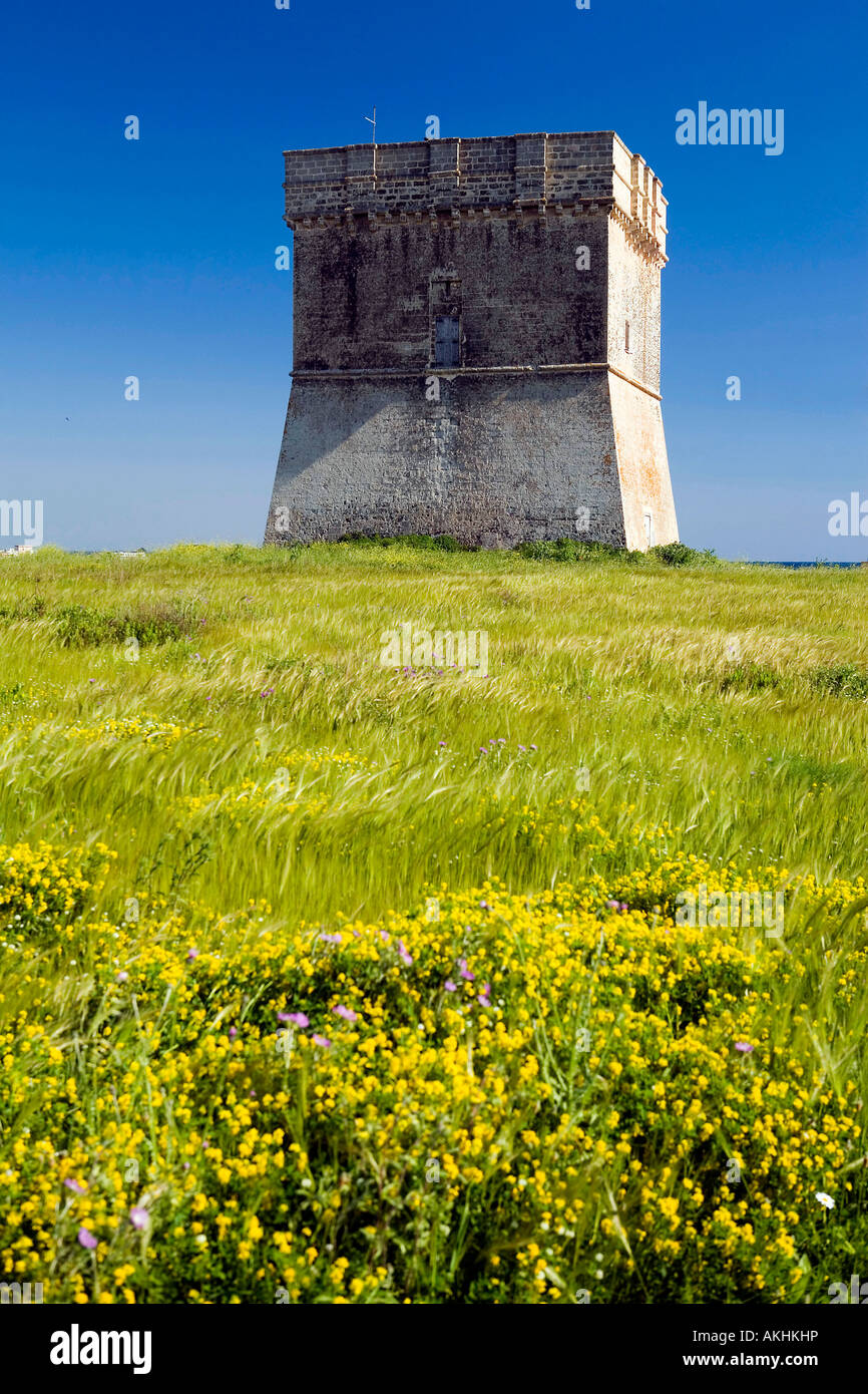 Torre Chianca coastal tower, Porto Cesareo, Puglia, Italy Stock Photo ...
