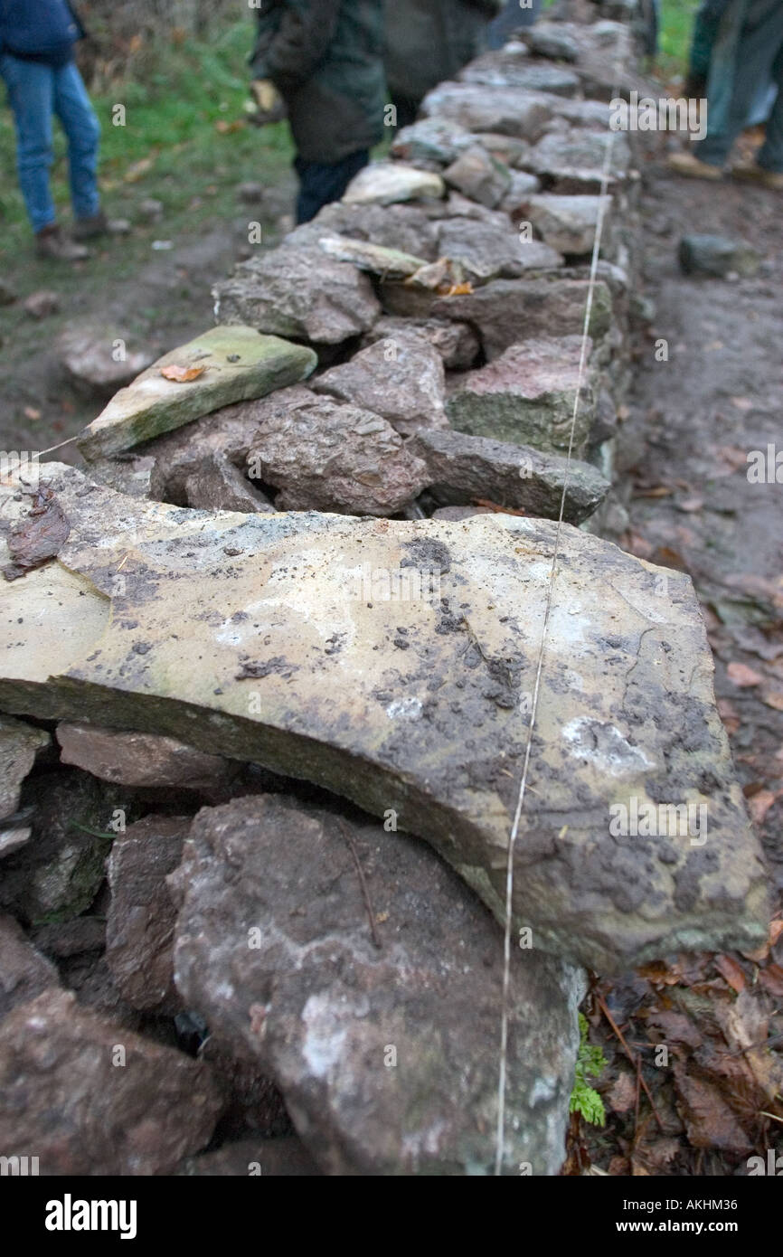 Dry stone walling. Placing a through stone Stock Photo - Alamy