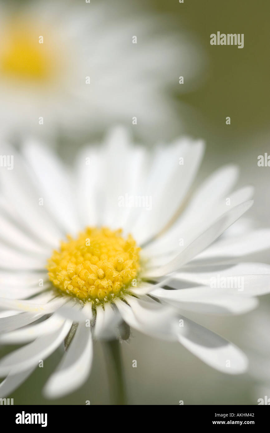 Playing fields poster hi-res stock photography and images - Alamy