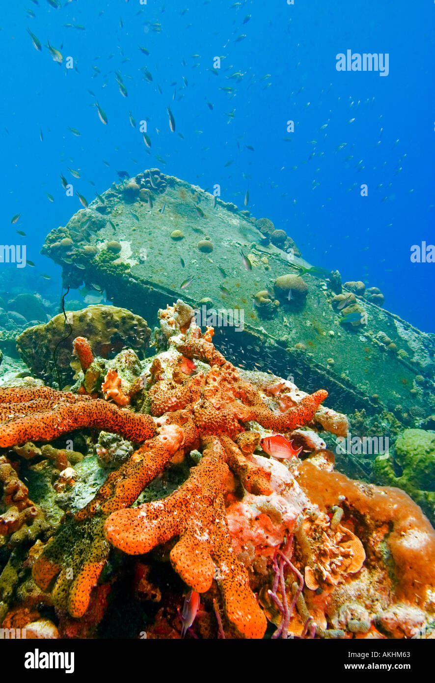 REEF SCENE WITH WRECK Stock Photo - Alamy