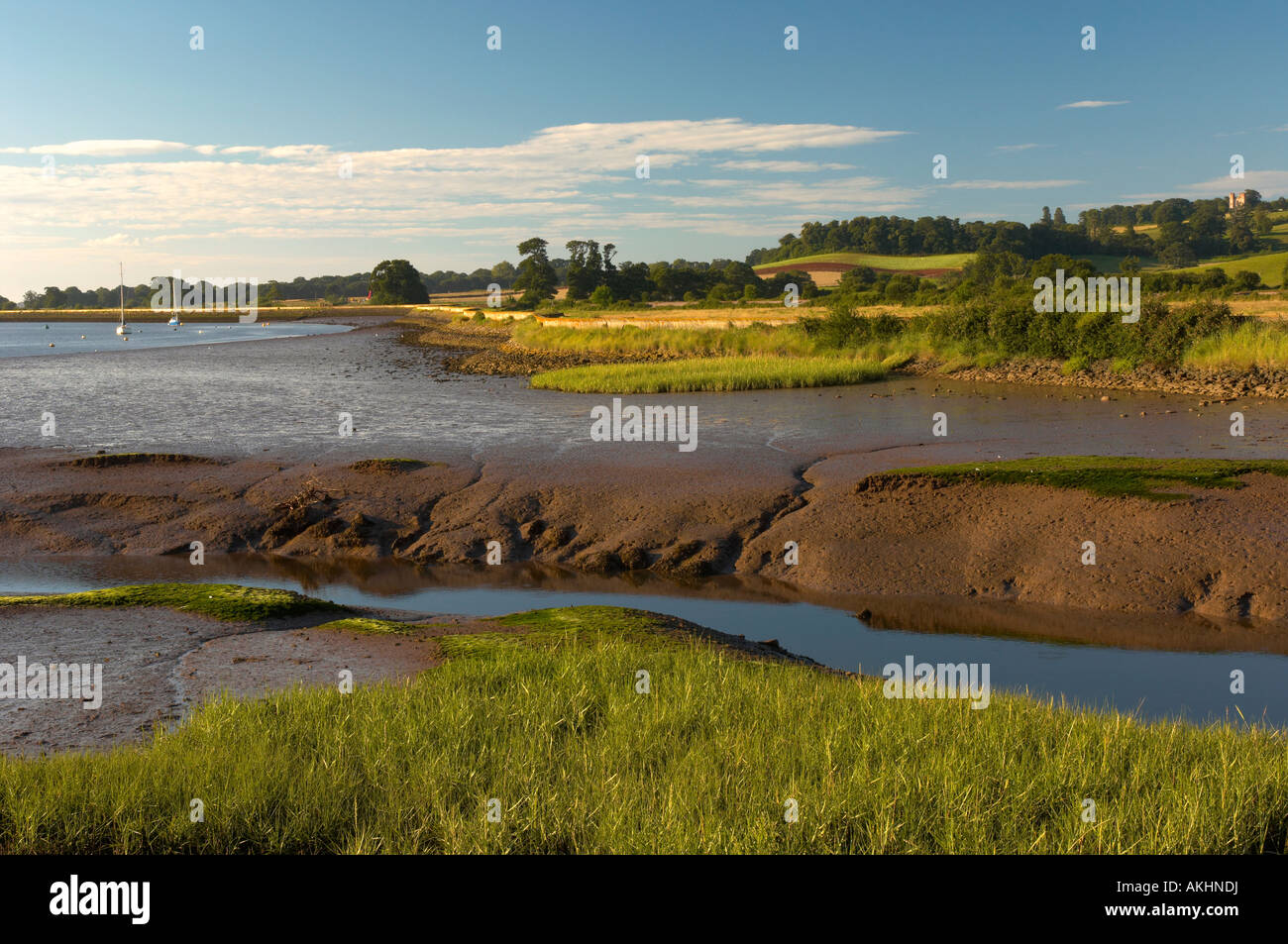 Exe estuary Devon UK Stock Photo - Alamy