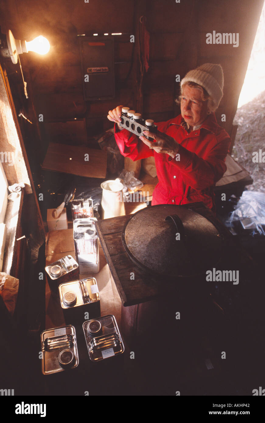 Making maple syrup hi-res stock photography and images - Alamy