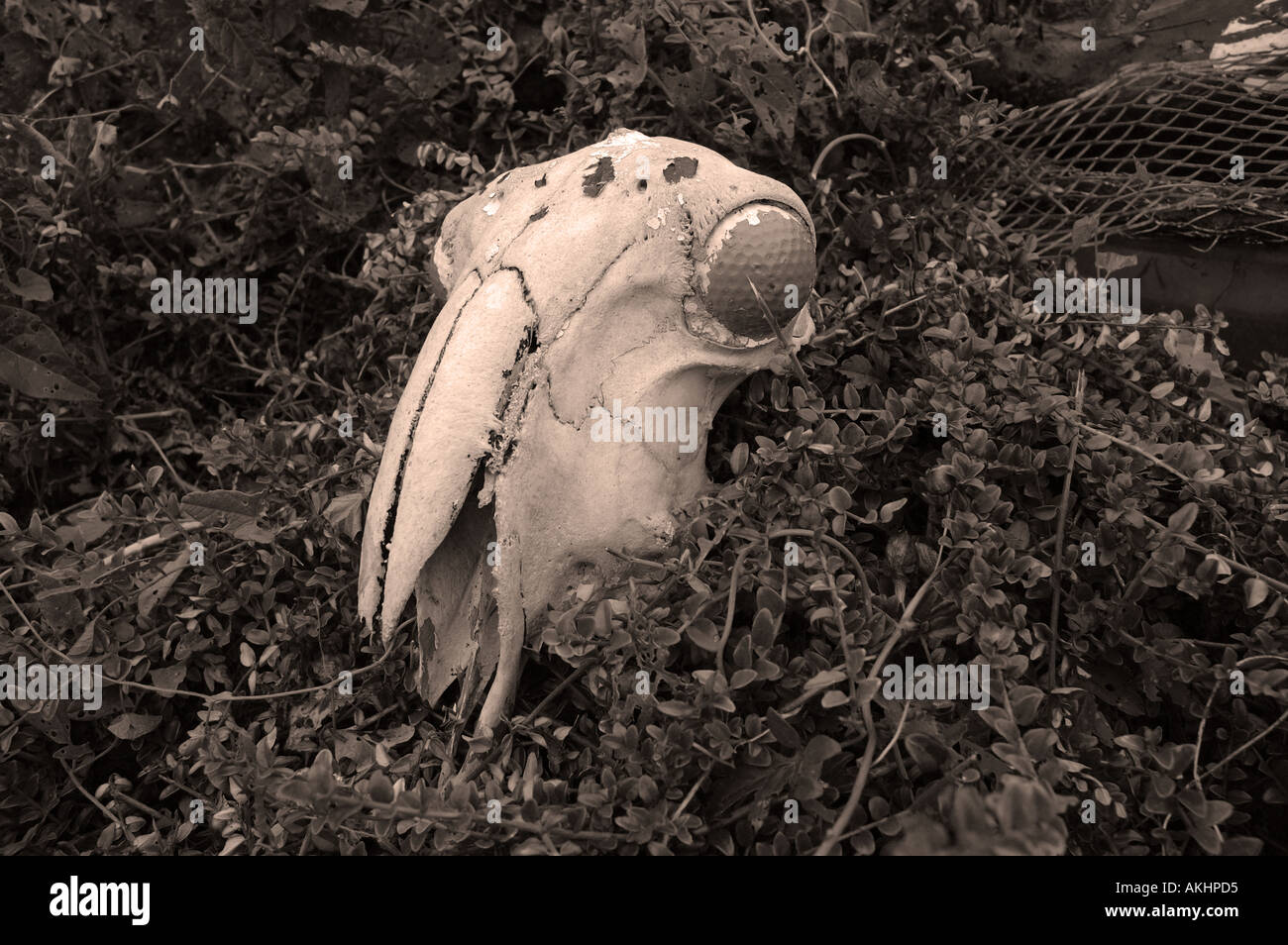 Black and White Landscape, Garden Art, Calbourne, Isle of wight ...