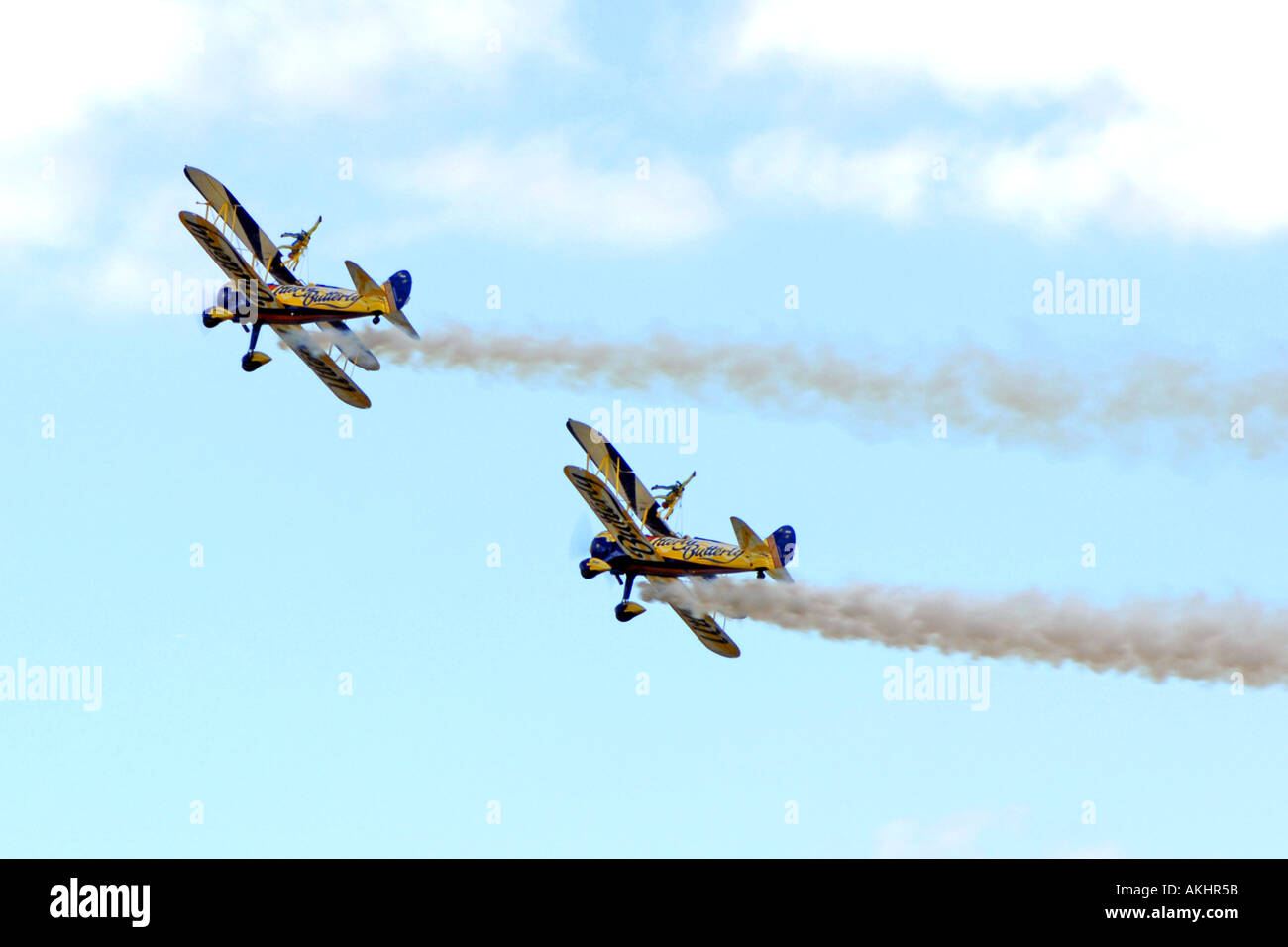 Bi wing hi-res stock photography and images - Alamy