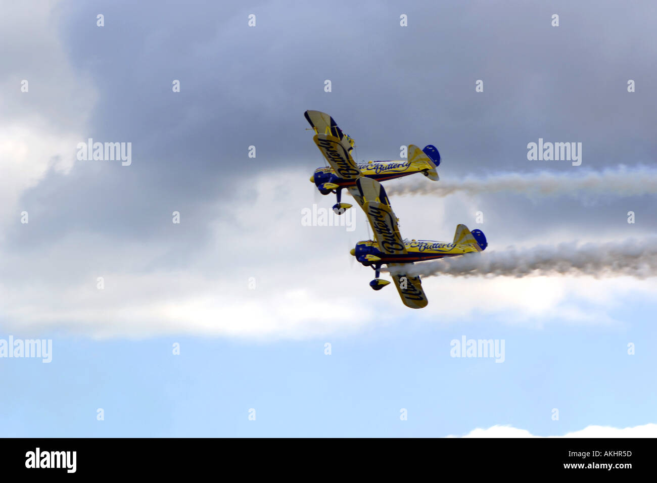 Bi wing hi-res stock photography and images - Alamy