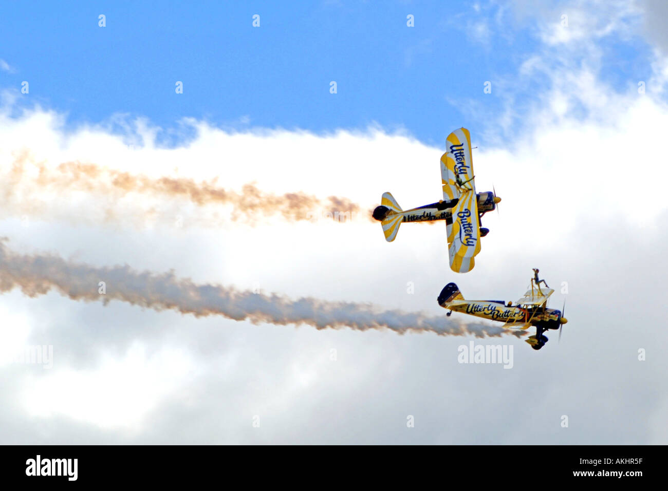 Bi wing hi-res stock photography and images - Alamy