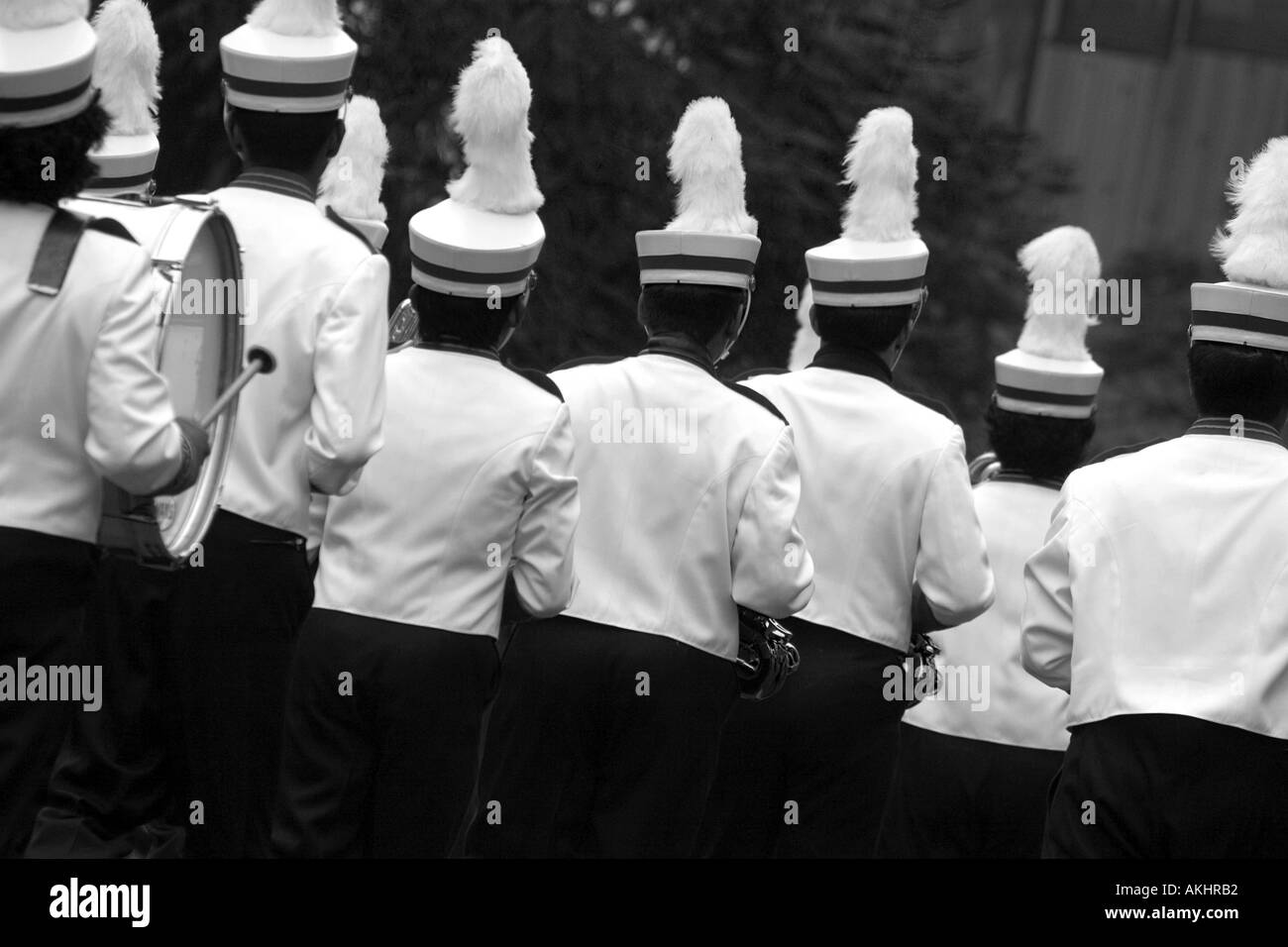 Average white band hi-res stock photography and images - Alamy