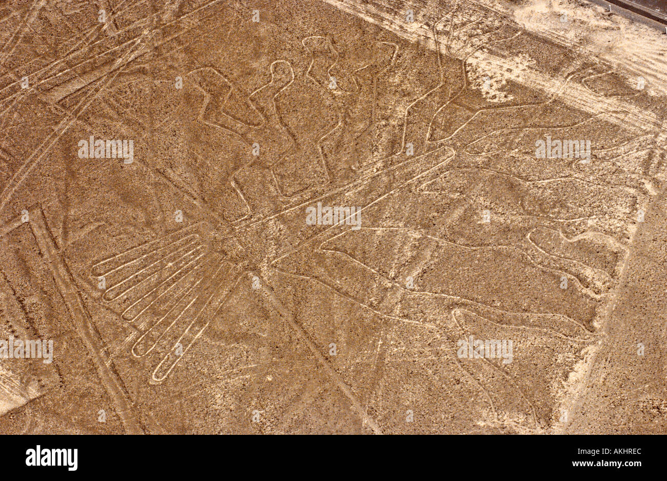 Nasca Lines known as The Tree Peru Stock Photo - Alamy