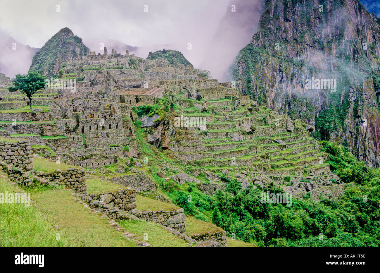 The citadel of Machu Picchu Peru Stock Photo - Alamy