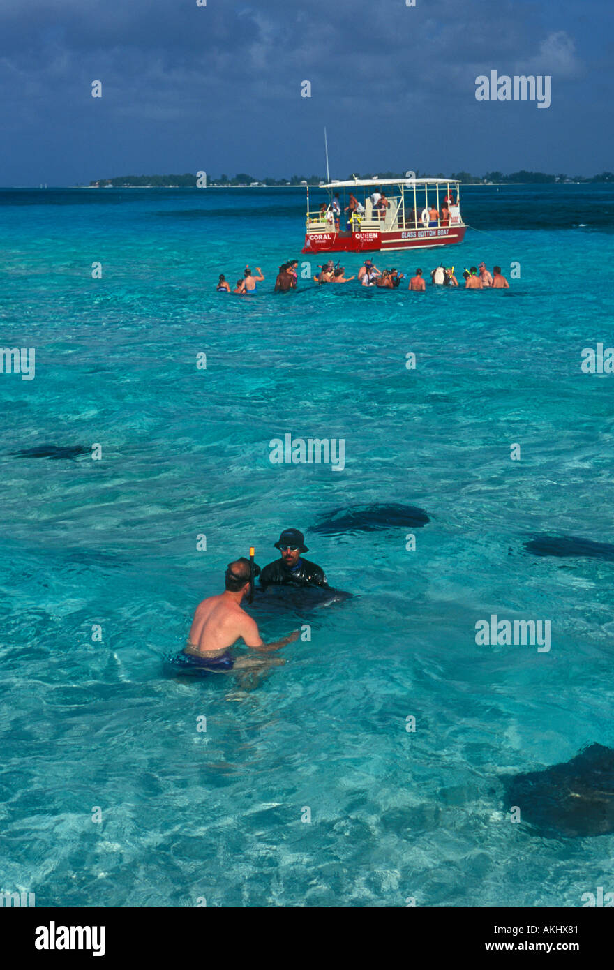 tourists, South Atlantic Stingray, South Atlantic Stingray, Atlantic ...