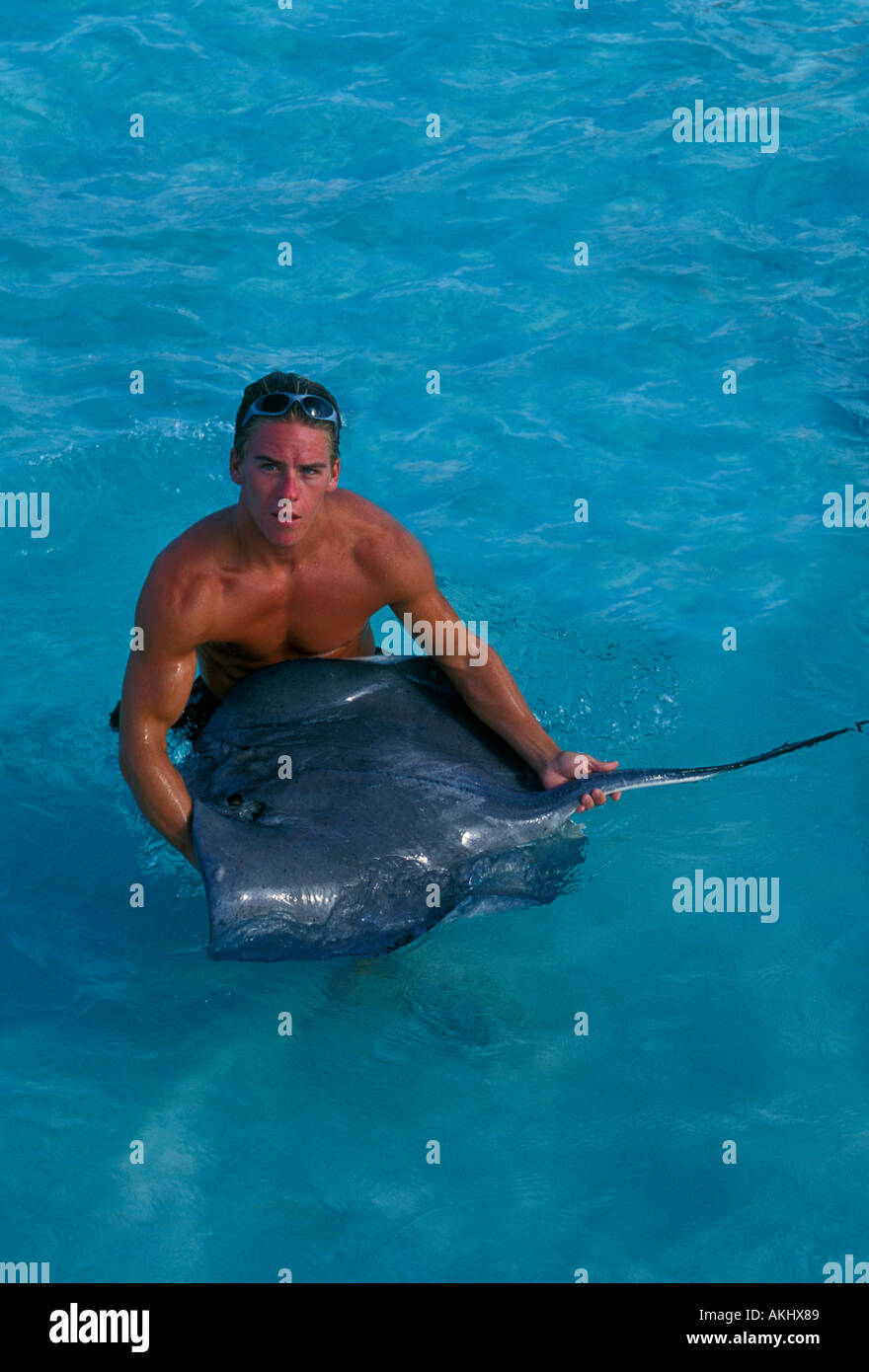 Whip tail stingrays hi-res stock photography and images - Alamy