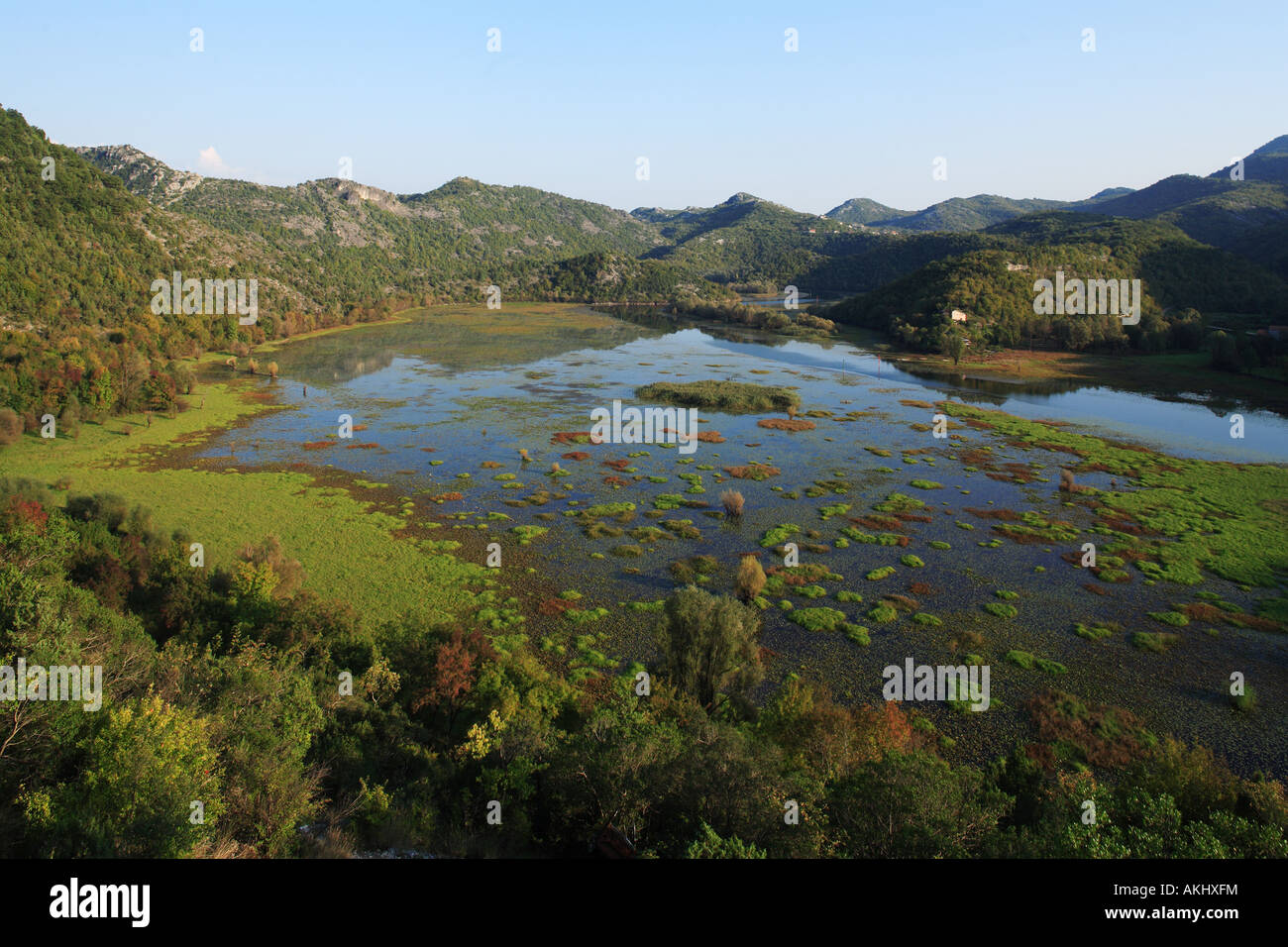 Montenegro, Central region, the lake Skadar (Skadarsko Jezero Stock Photo - Alamy