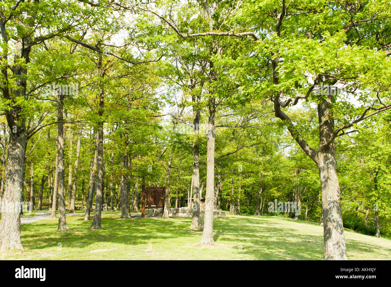 Hyner view state park hi-res stock photography and images - Alamy