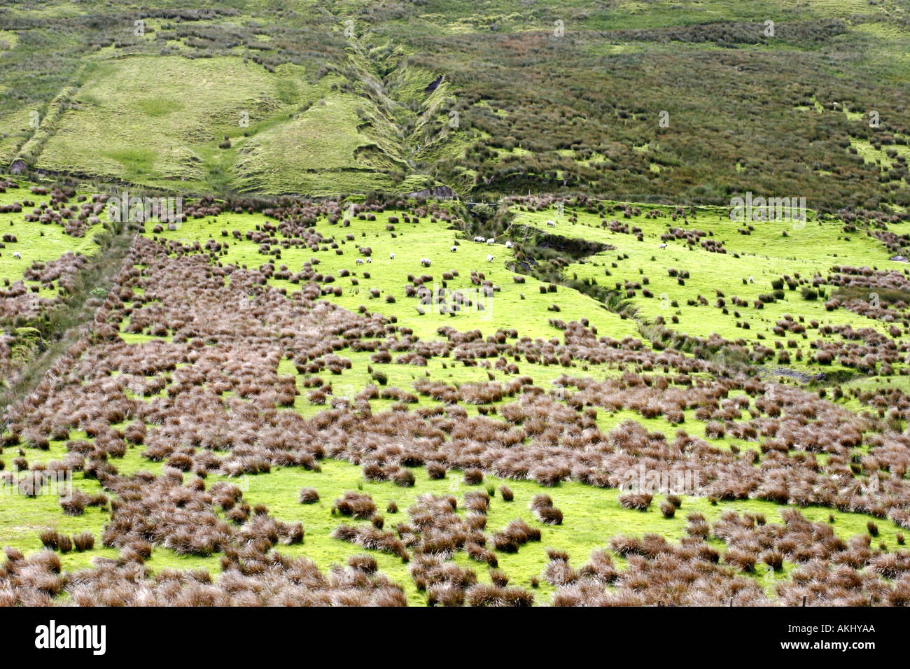 Ballingeary hi-res stock photography and images - Alamy