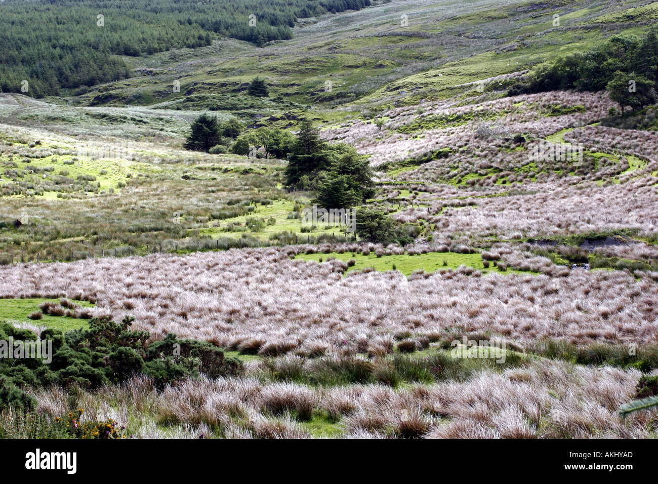 Ballingeary hi-res stock photography and images - Alamy