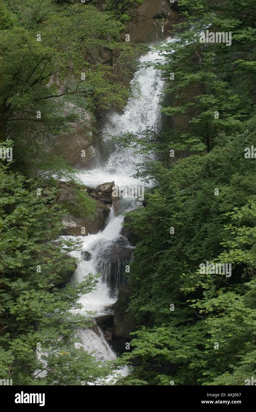 Panda waterfall hi-res stock photography and images - Alamy