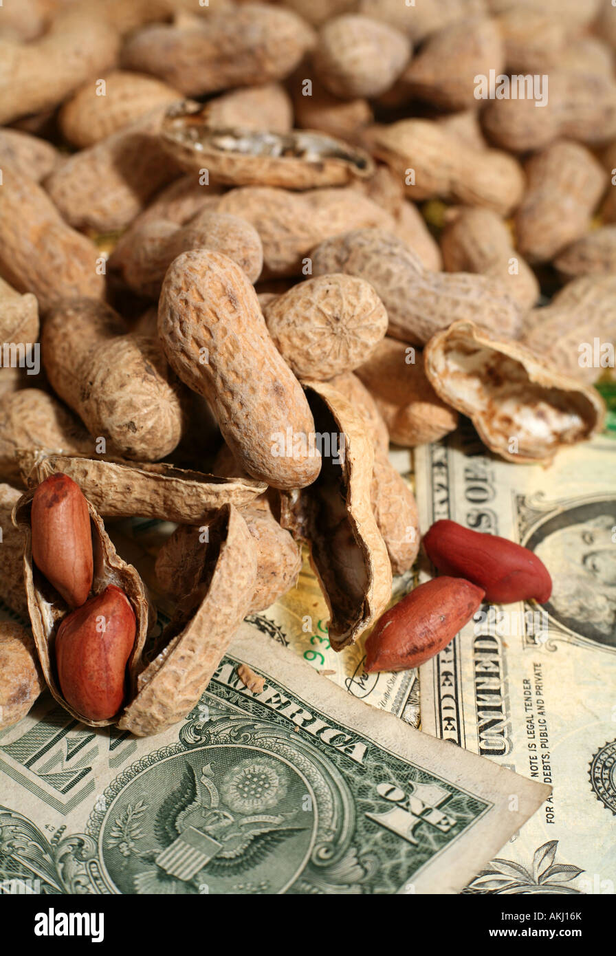 Pay peanuts hi-res stock photography and images - Alamy